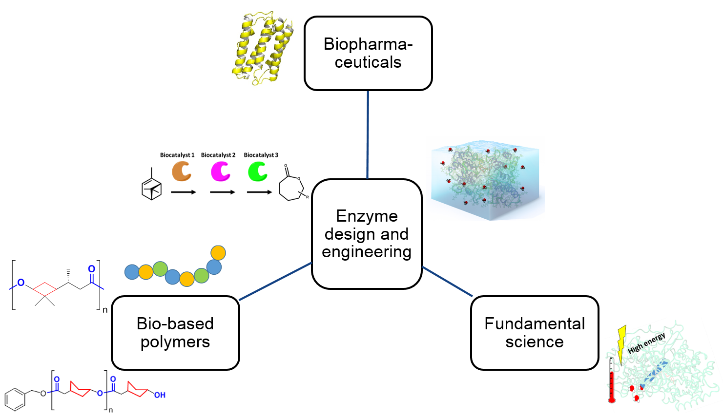 Current group members – Chemistry for Life Sciences by Protein ...